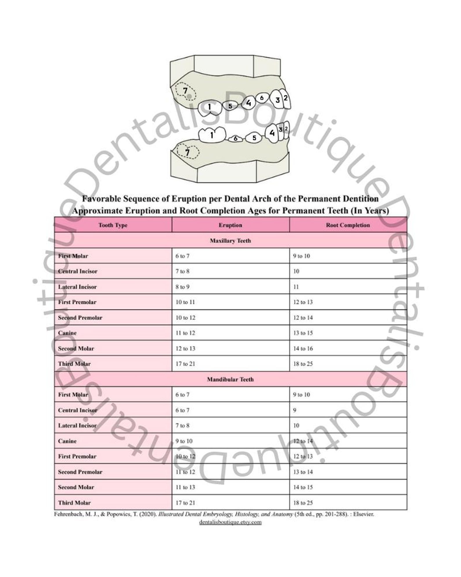 Dental Hygiene Study Cheat Sheet Dental Tooth Eruption Chart Dental ...