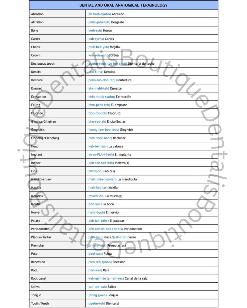 Dental Spanish Cheat Sheet, Dental Hygienist Student Gift Quick ...