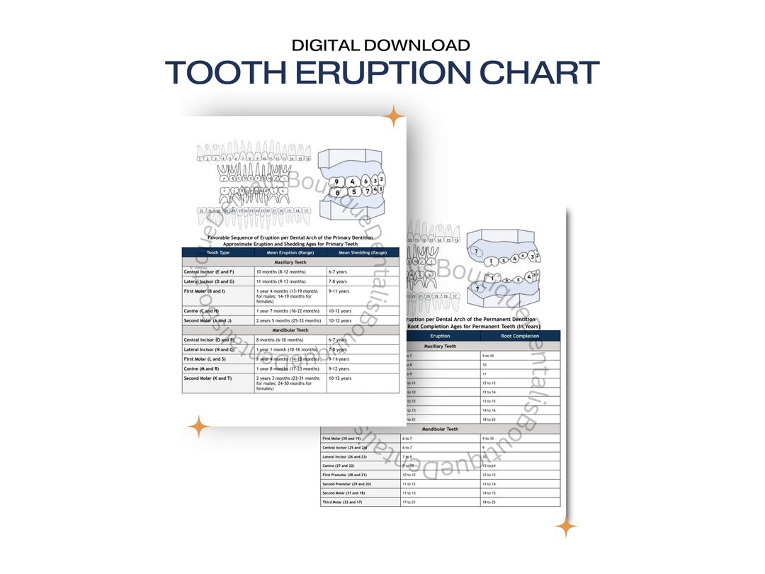 Dental Hygiene Study Cheat Sheet, Dental Tooth Eruption Chart, Dental ...