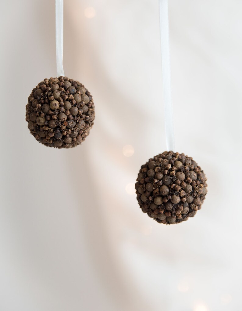 Scented Christmas Ornaments - Pomander Balls With Cloves and Allspice ...