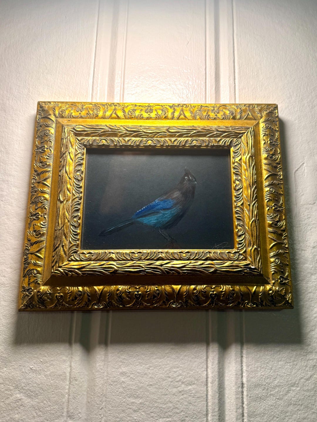 Stellars Jay Color Pencil Drawing, 5x7 Stellars Jay Print, Hand Drawn ...