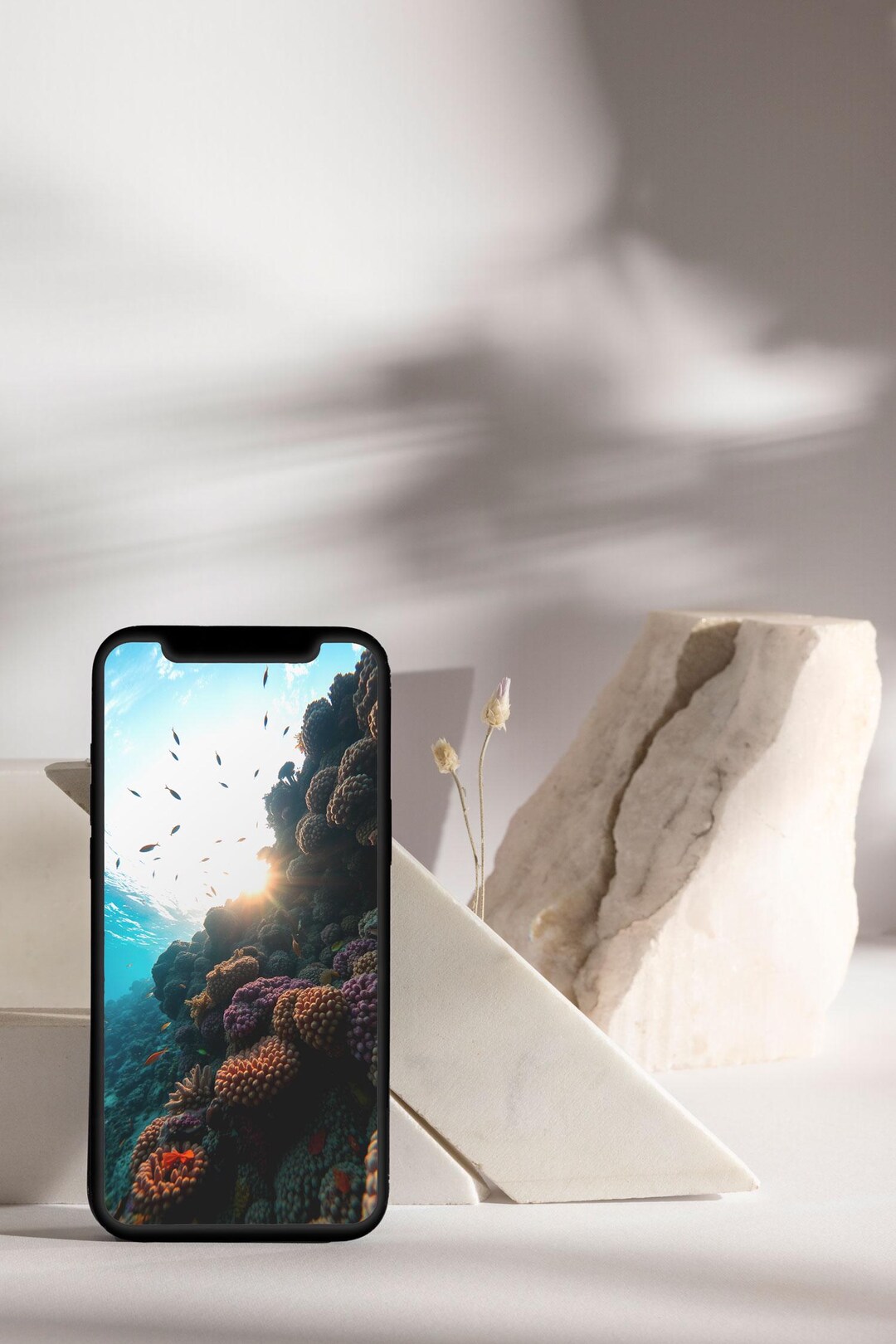 100 Phone Wallpaper Designs With a Vibrant Reef Filled With Corals and ...