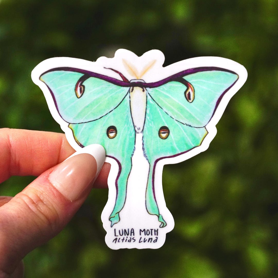 Luna Moth Sticker- Thick, High Quality Vinyl, Dishwasher Tested ...