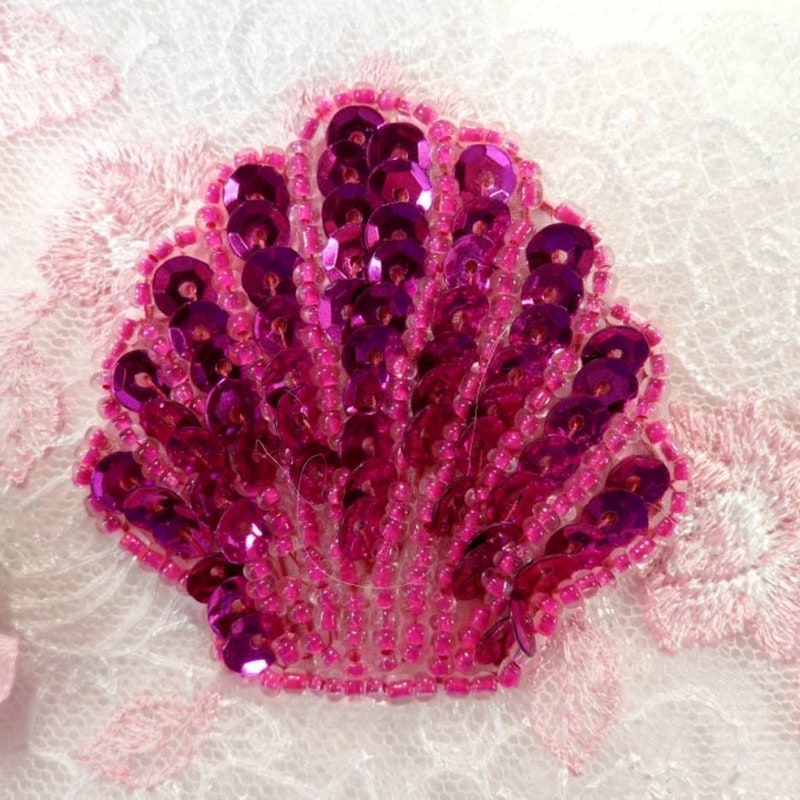 Seashell Applique - Etsy