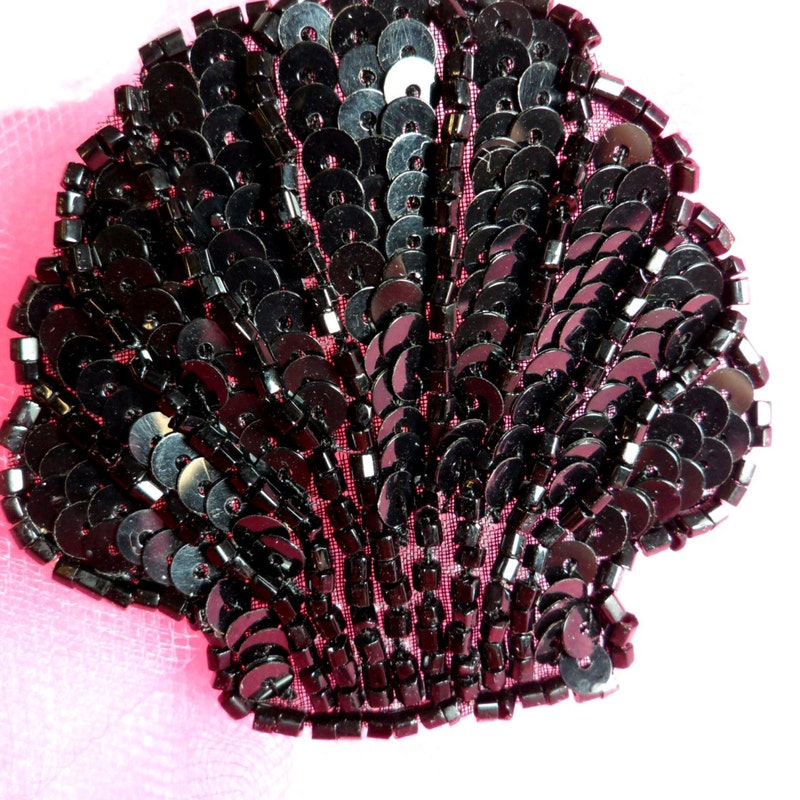 Seashell Applique - Etsy