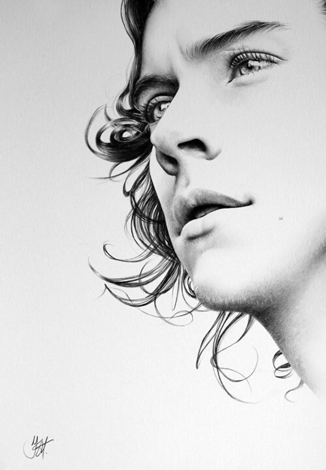 Harry Styles Fine Art Pencil Drawing Portrait Signed Print - Etsy UK