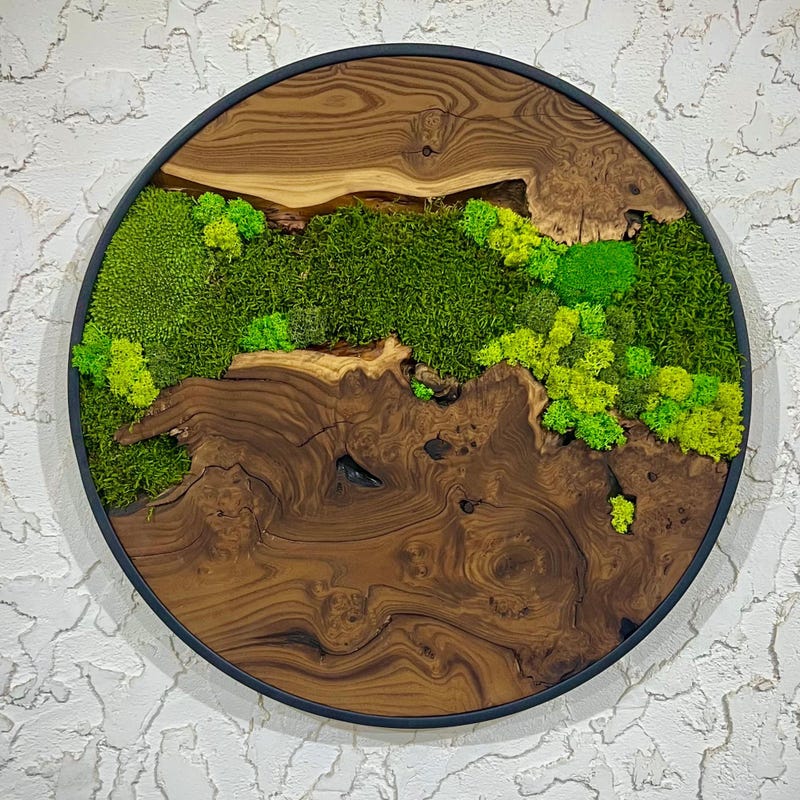 Moss Wall Decor - Etsy