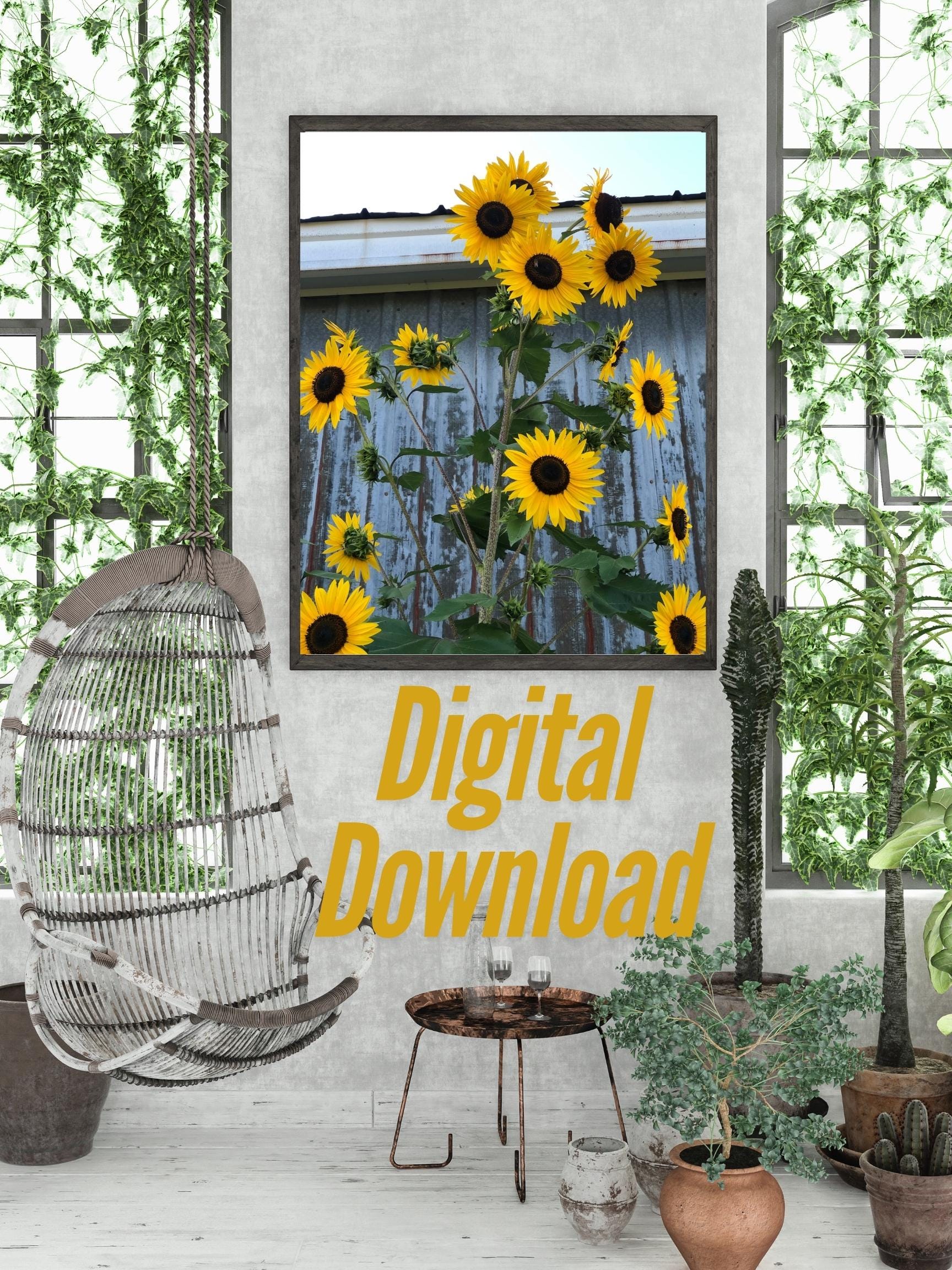 Sunflowers Digital Download - Etsy