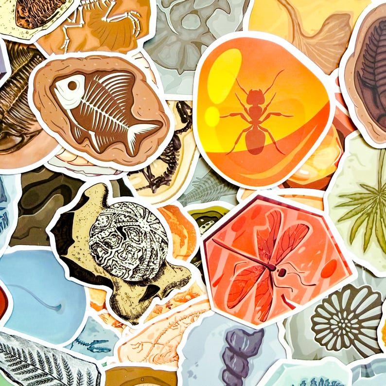 50PCS Prehistoric Fossil Art Stickers, Trilobite Shell Stickers, Rustic ...