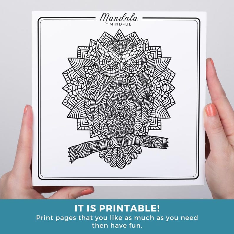 112 Pages Intermediate Coloring & Tracing Animal Mandala Coloring Book ...