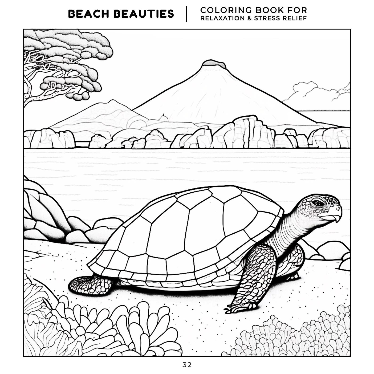 30 Printable Pages Beach Beauties Digital Coloring Book for Relaxation ...