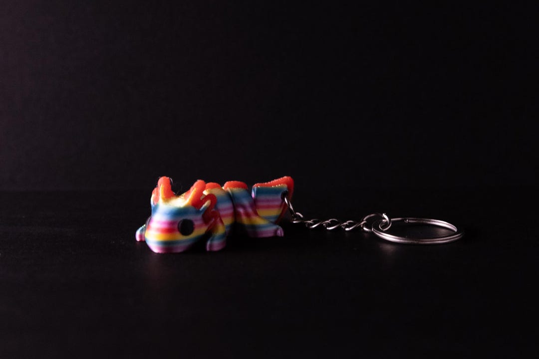Cute Rainbow Flexi-axolotl Keychain - Colorful and Unique! - Etsy