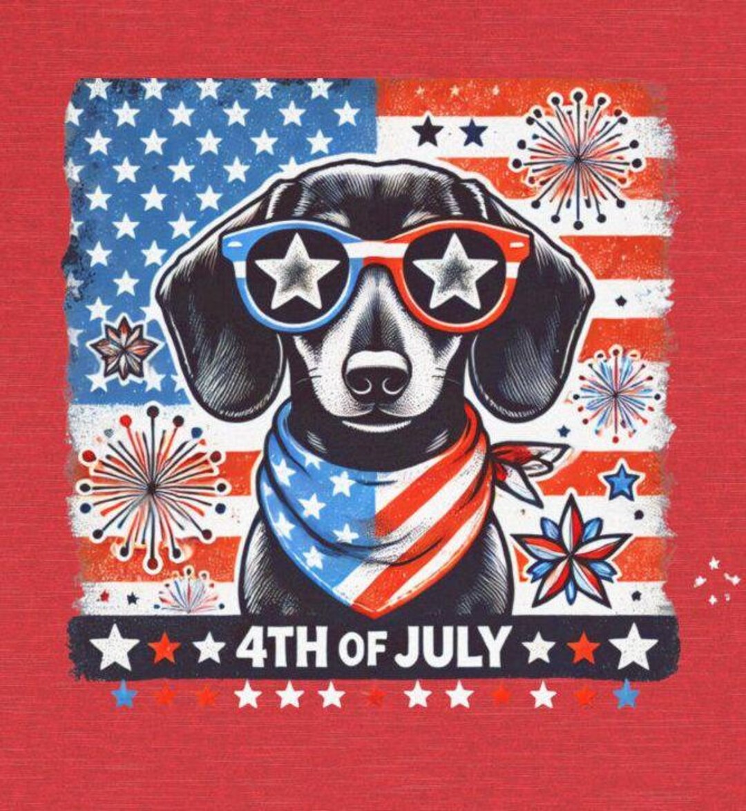 Funny 4th Of July Shirt Dachshund 4th Of July Shirt 4th Of July Dog