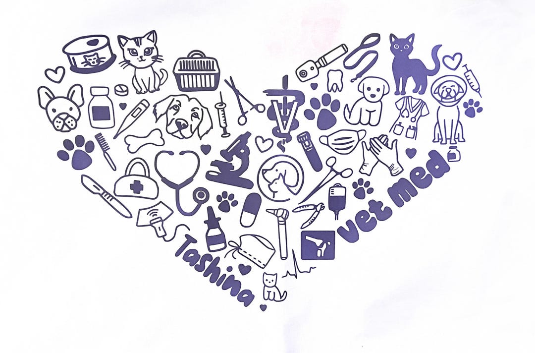 Veterinary Medicine Tote, Vet Med Tote, Veterinary Medicine Bag ...