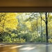 Fall Trees Virtual Background: Professional Zoom Meeting Backdrop ...