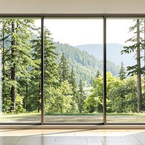 Forest Window View Virtual Background | Natural Home Office for Video ...