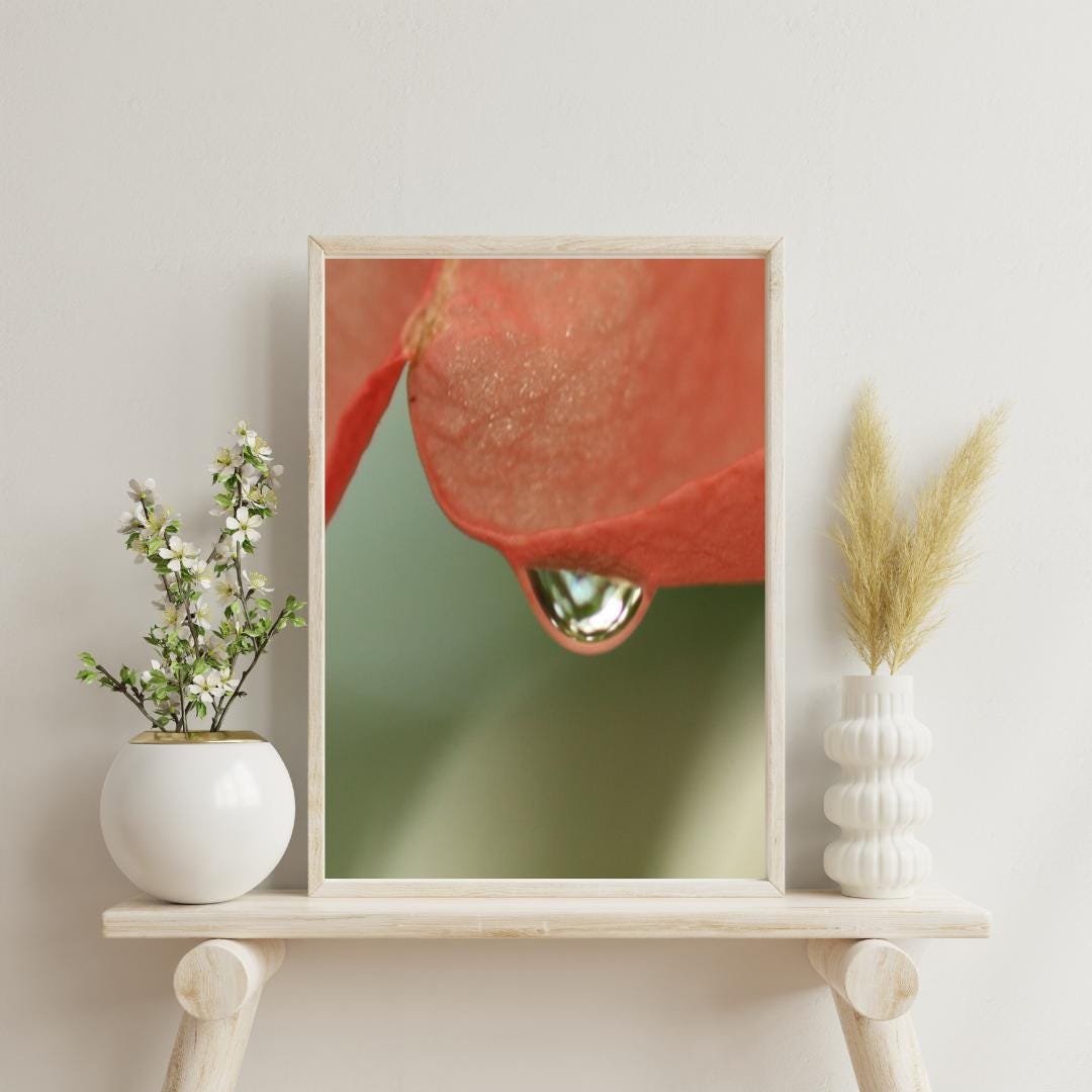 Macro Flower Photography | Dew Drop Art | Nature Close-up Print ...