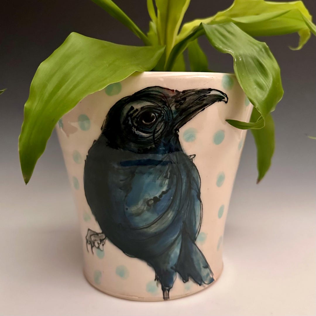 Illustrated Raven Planter Pot Turquoise Polka Dots Handmade Planter - Etsy