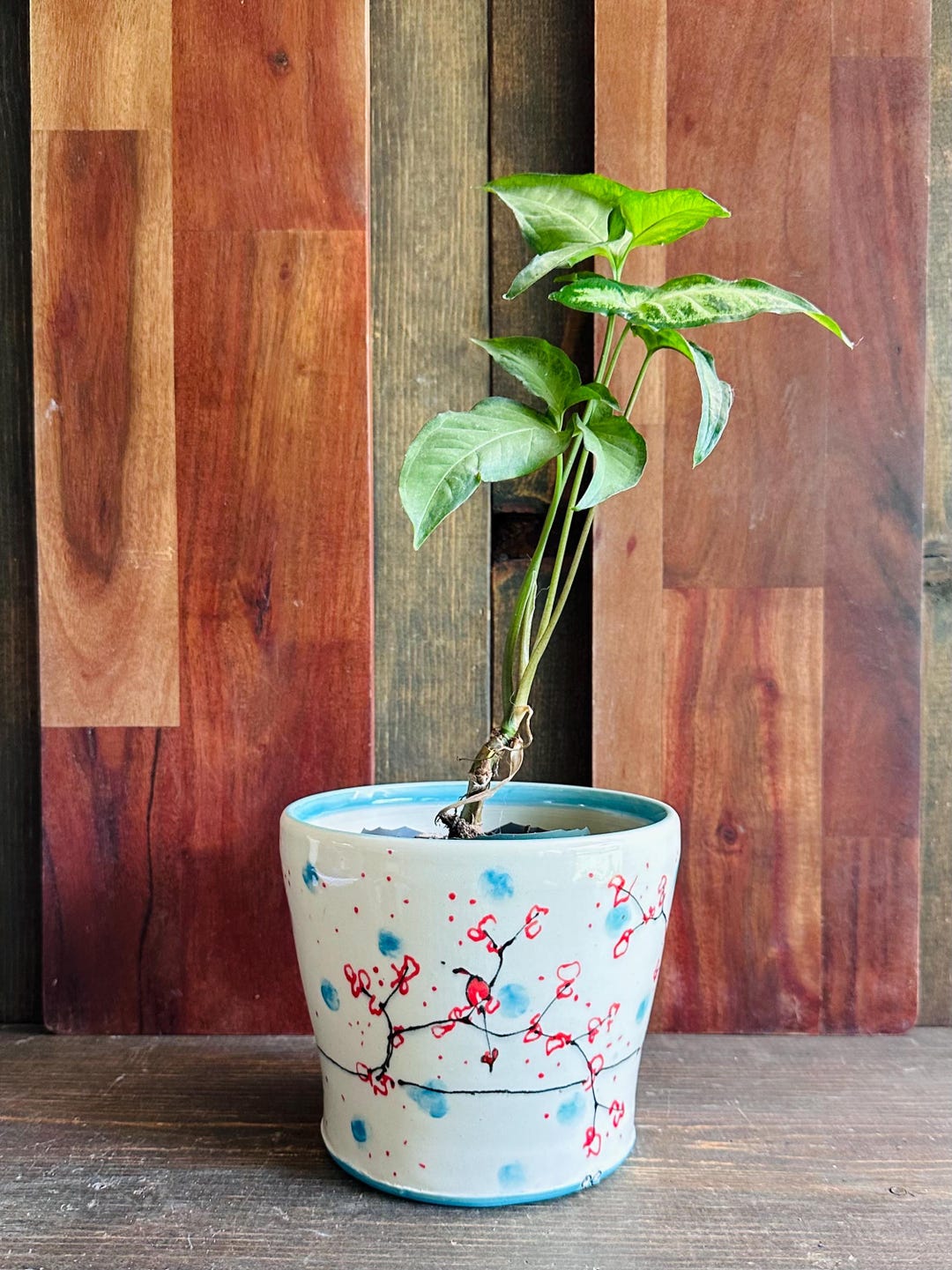 Ceramic Planter Pottery Handmade Cherry Blossom Red Flower Turquoise ...