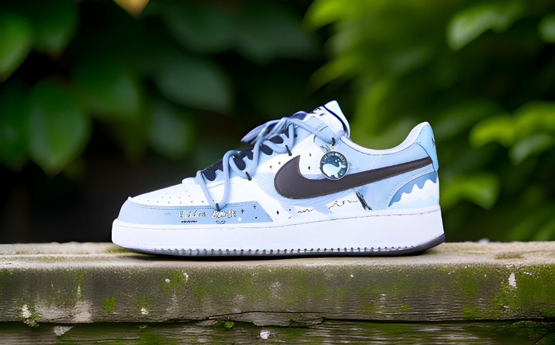 Custom Nike Court Vision 1, Hand-painted Sneakers, Personalized Shoes ...