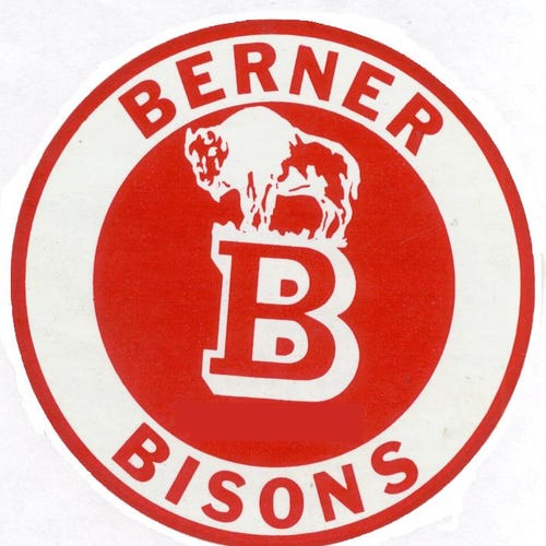 BernerBisonShop - Etsy