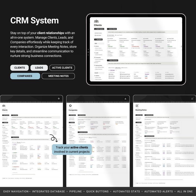 Notion CRM Client Tracker Template | Client Management, Project Tracker, Invoice and Expense ...