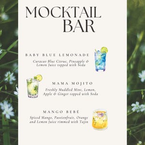 Mocktail Menu Baby Shower - Etsy