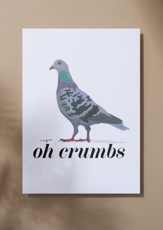 Pigeon Funny Quotes