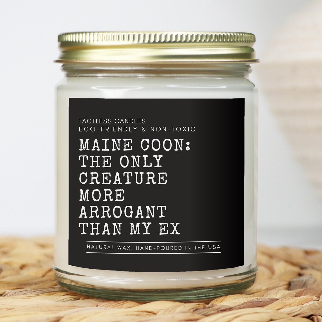 Maine Coon Candle Maine Coon: the Only Creature More Arrogant Than My ...