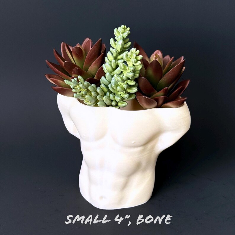 Muscular Male Chest Planter, Bare Body Torso Man, Modern Unique Home or ...