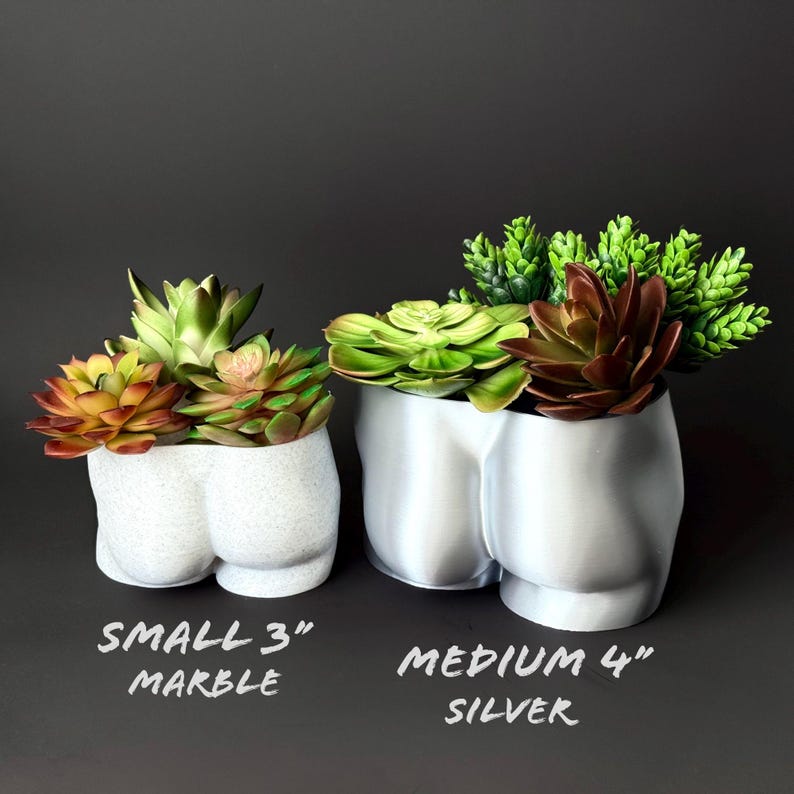 Muscular Man Butt Pot, Male Rear End Planter for Succulents and Indoor ...