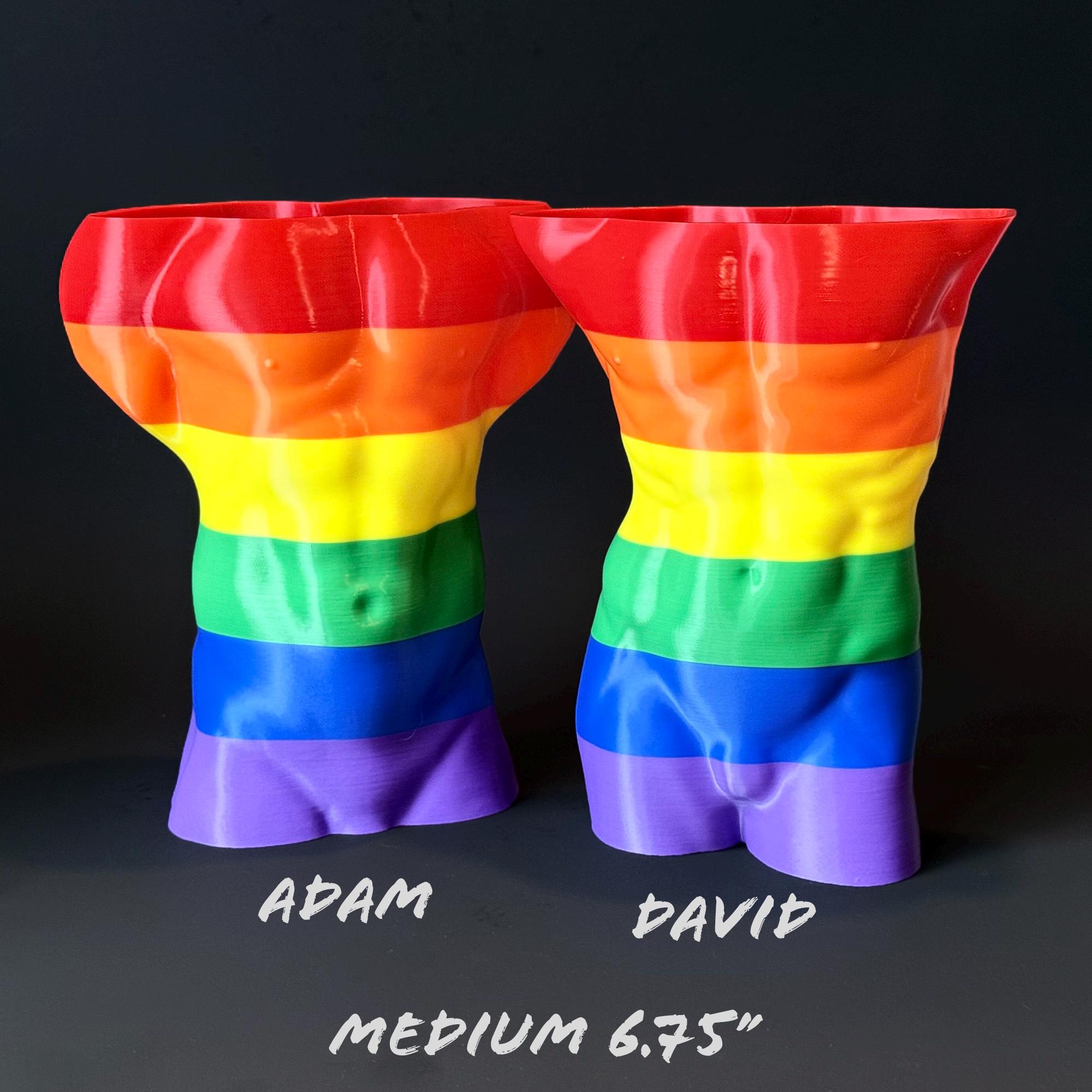 Pride Collection Male Torso Vases, Muscular Men Flower Pots for Plants ...