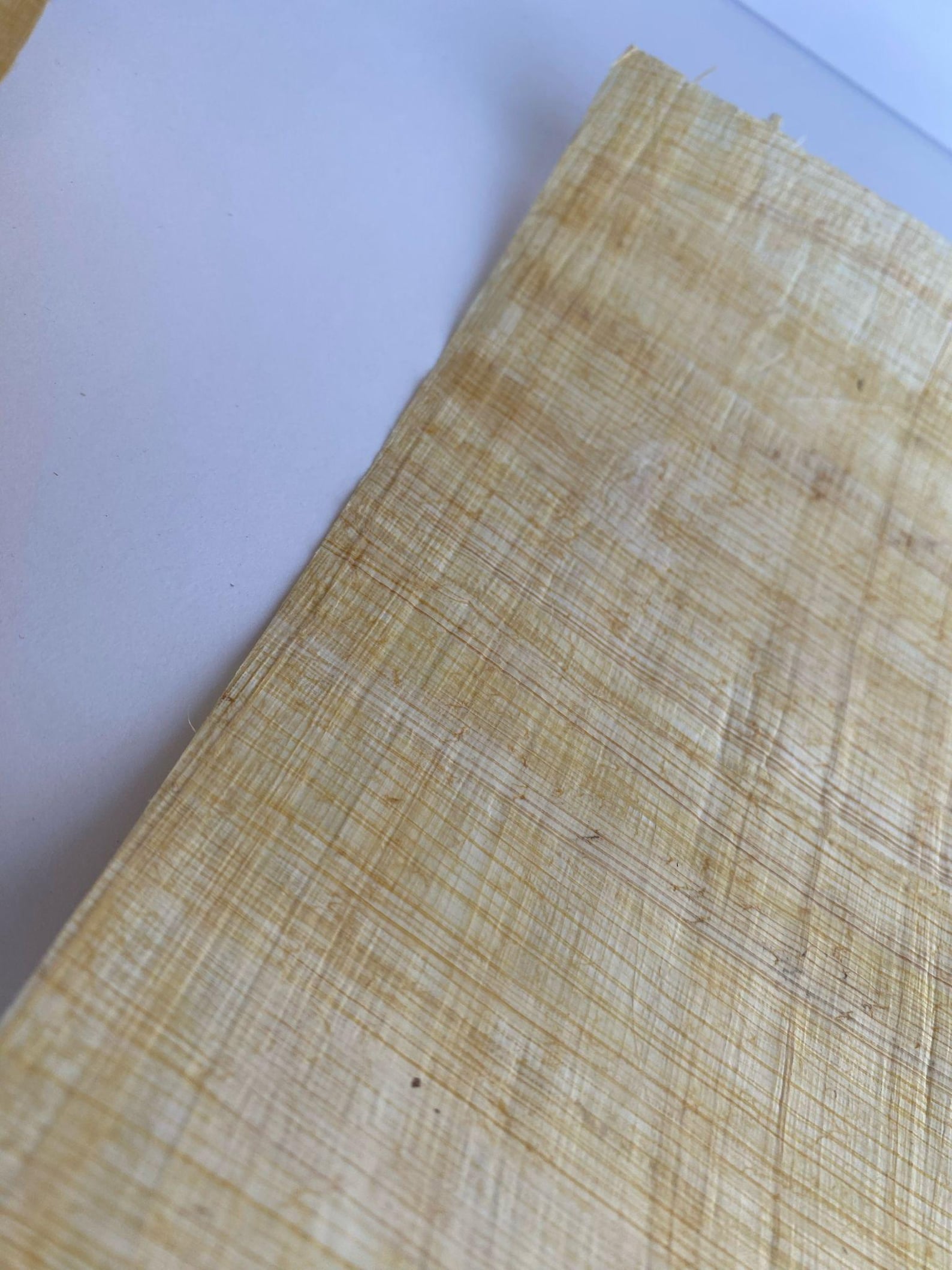 Handmade Egyptian Papyrus Sheets: Art Projects, Teaching, Scrapbooking ...