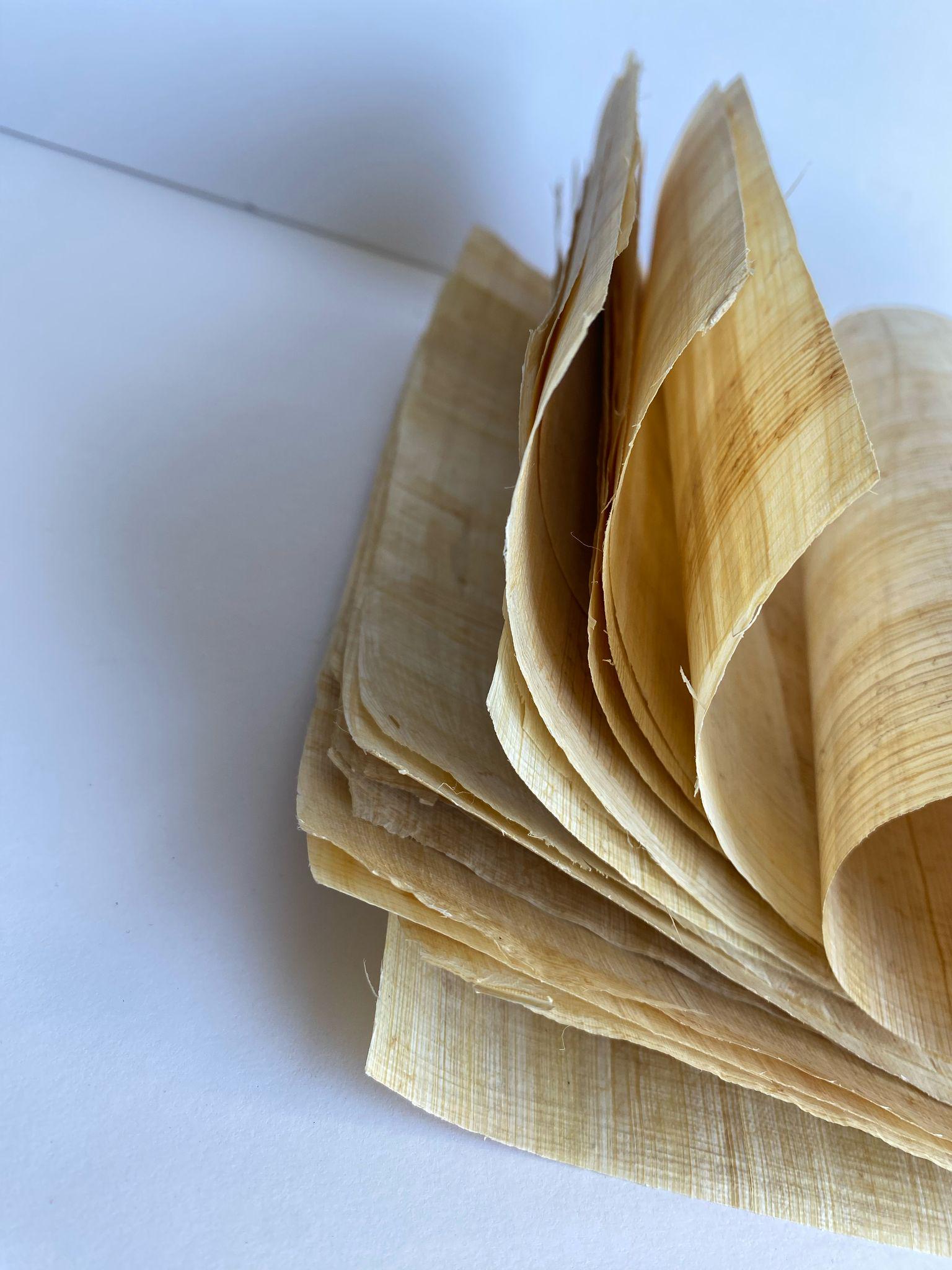 Handmade Egyptian Papyrus Sheets: Art Projects, Teaching, Scrapbooking ...