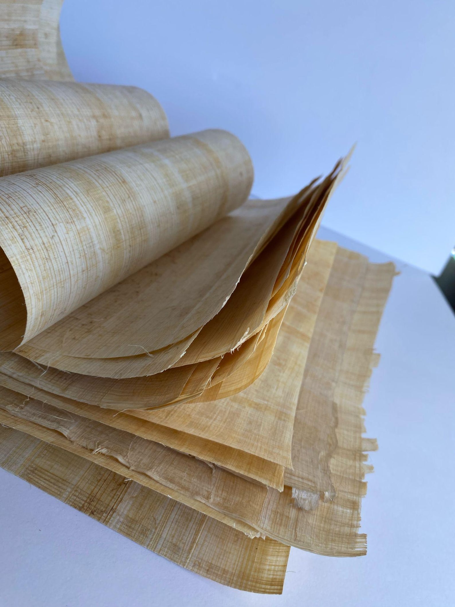 Handmade Egyptian Papyrus Sheets: Art Projects, Teaching, Scrapbooking ...