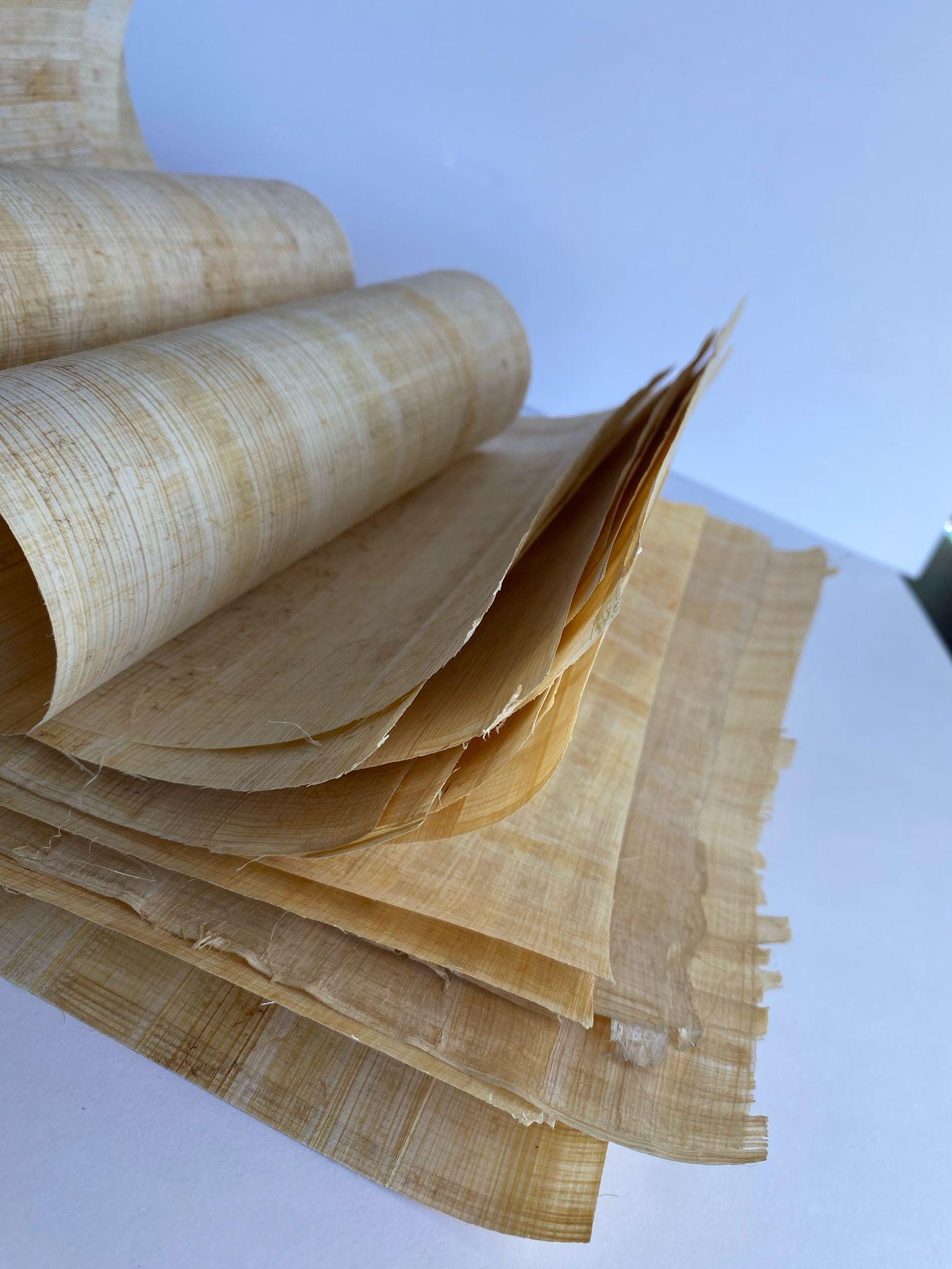 Handmade Egyptian Papyrus Sheets: Art Projects, Teaching, Scrapbooking ...