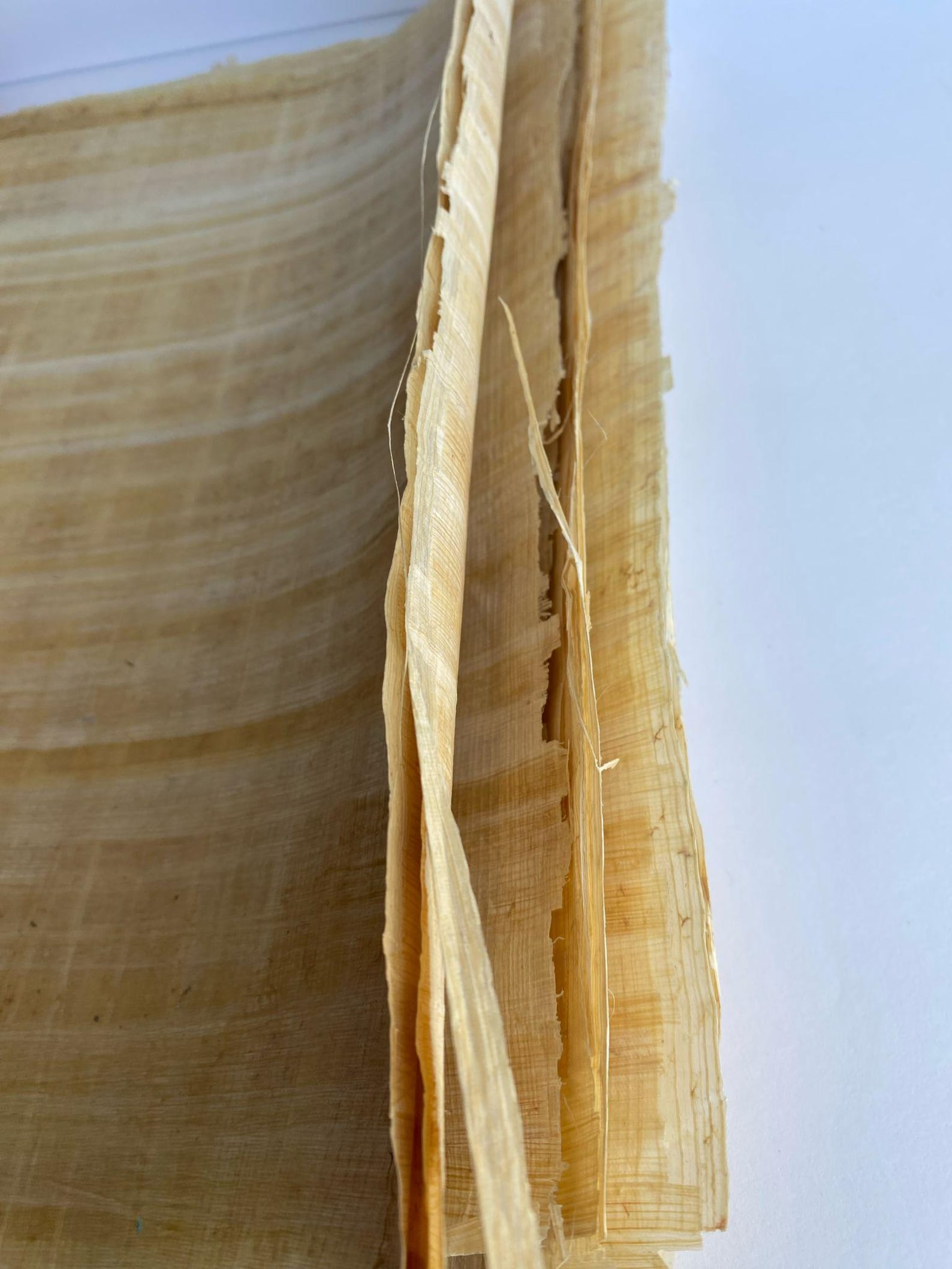 Handmade Egyptian Papyrus Sheets: Art Projects, Teaching, Scrapbooking ...