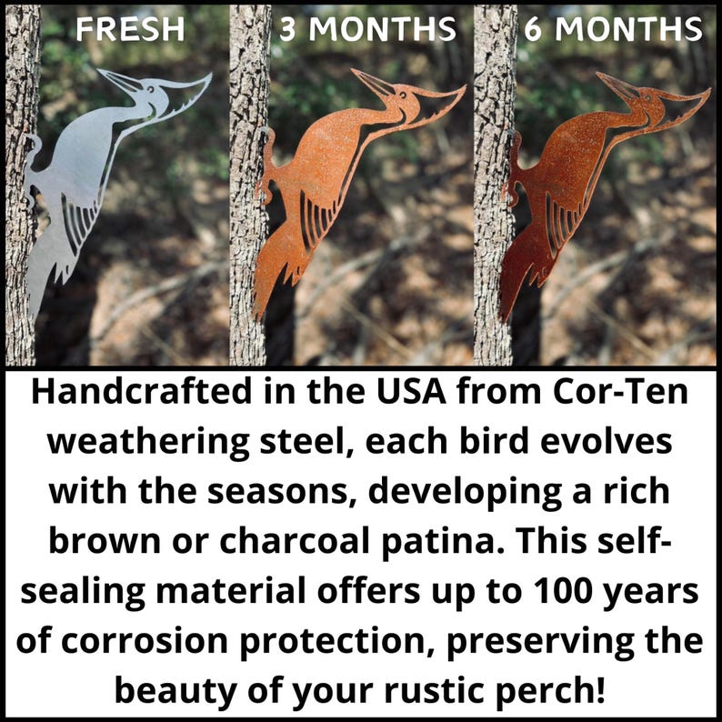 RUSTIC PERCH Red-tailed HAWK Metal Bird Tree Spike Yard Art Outdoor ...