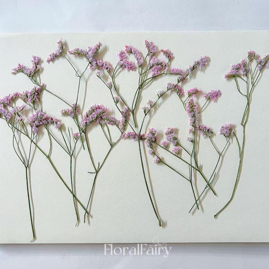 Pressed Pink Flowers With Stems: Craft & Resin Filler (12pcs) - Etsy