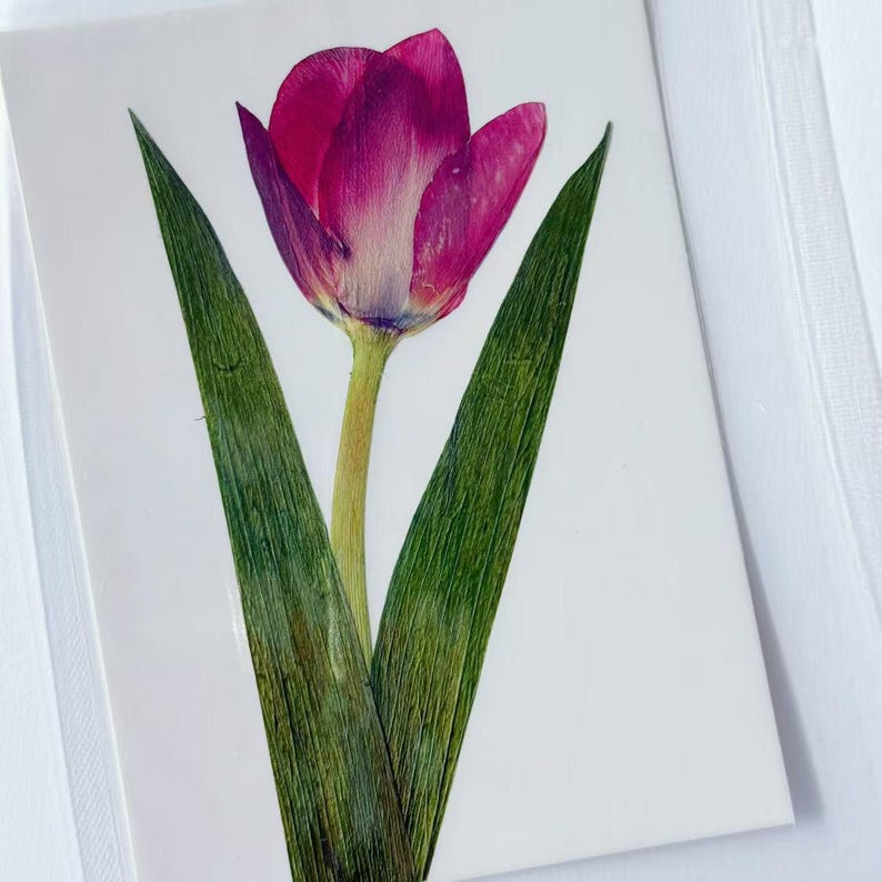 Pressed Dried Tulip Flowers: Resin Art, Framed Wall Art (1flower2leaves ...