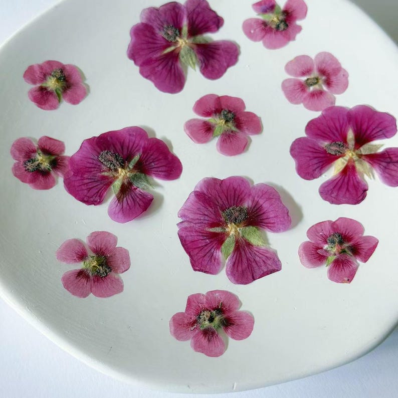Pressed Hibiscus Flowers for Resin Art Supplies 12pcs - Etsy