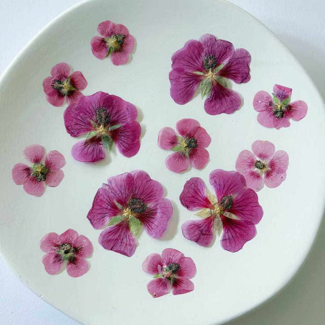 Pressed Hibiscus Flowers for Resin Art Supplies 12pcs - Etsy