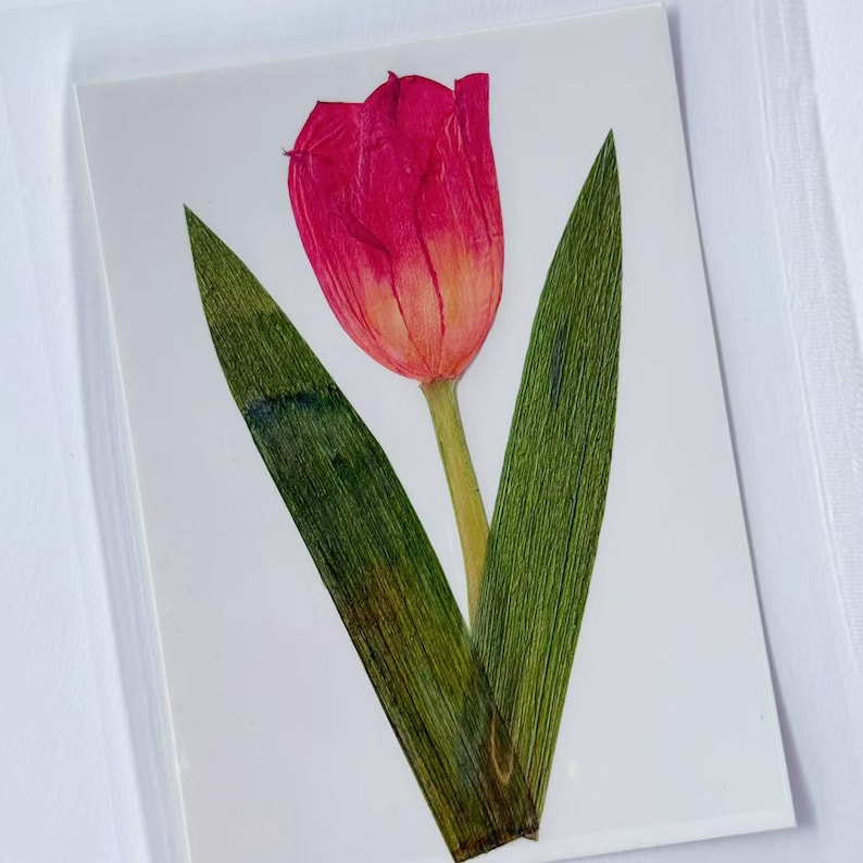 Pressed Dried Tulip Flowers: Resin Art, Framed Wall Art (1flower2leaves ...