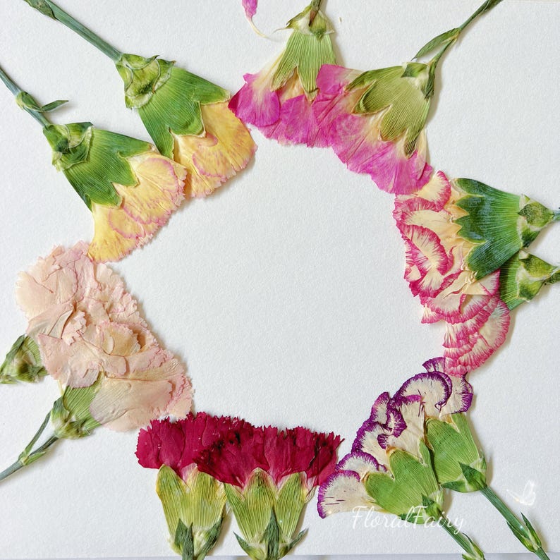Pressed Carnation Flowers With Stem: Cake Decoration, Resin Art ...