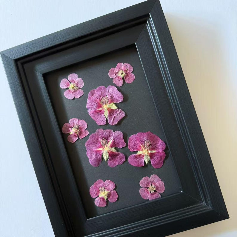 Pressed Hibiscus Flowers for Resin Art Supplies 12pcs - Etsy