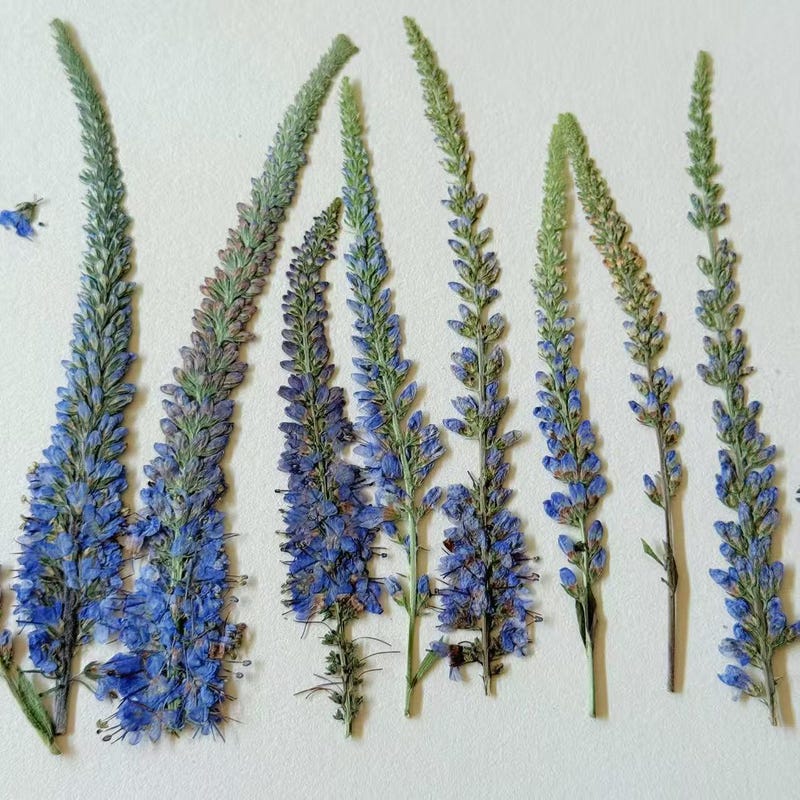 Resin Soap Wall Art - Etsy