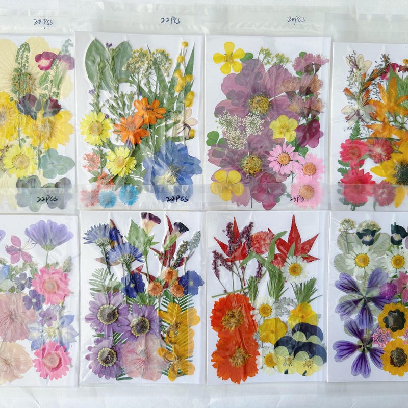 Pressed Flowers - Etsy