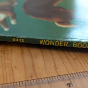 The How and Why Wonder Book of Dogs 1970's Illustrated Children's ...
