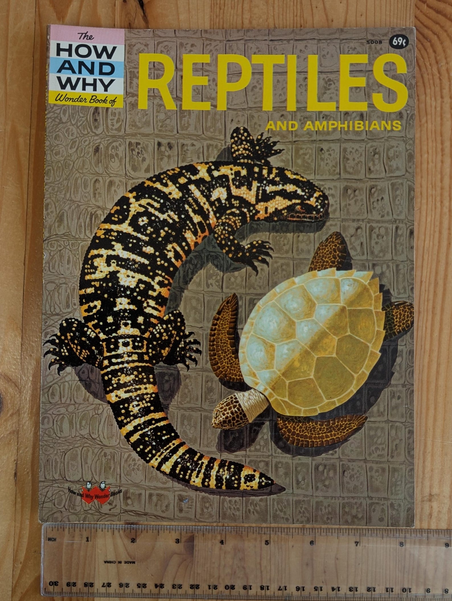 1970s Reptiles and Amphibians Children's Science Book - Etsy