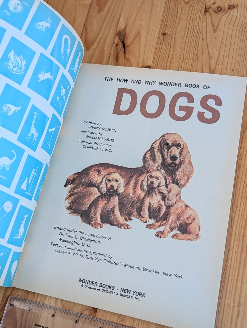 The How and Why Wonder Book of Dogs 1970's Illustrated Children's ...